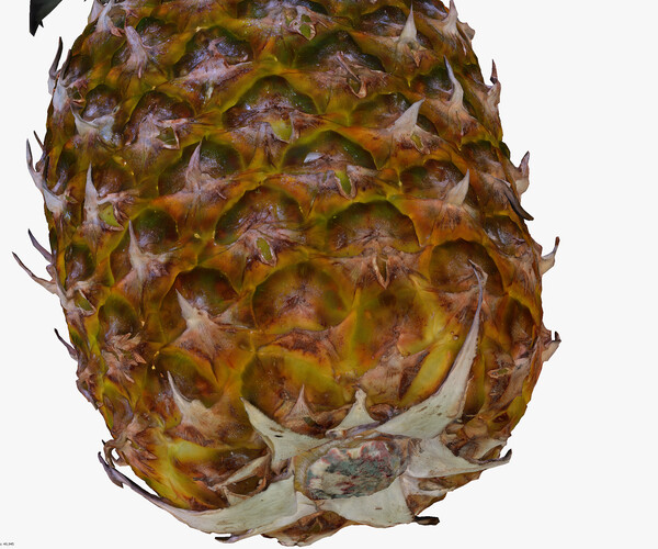 ArtStation - PINEAPPLE FRUIT LOW POLY \ HIGH POLY 3D MODEL - CROSS ...