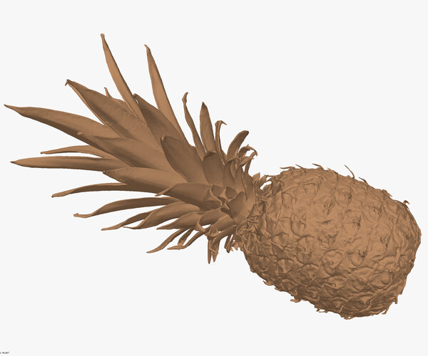 ArtStation - PINEAPPLE FRUIT LOW POLY \ HIGH POLY 3D MODEL - CROSS ...