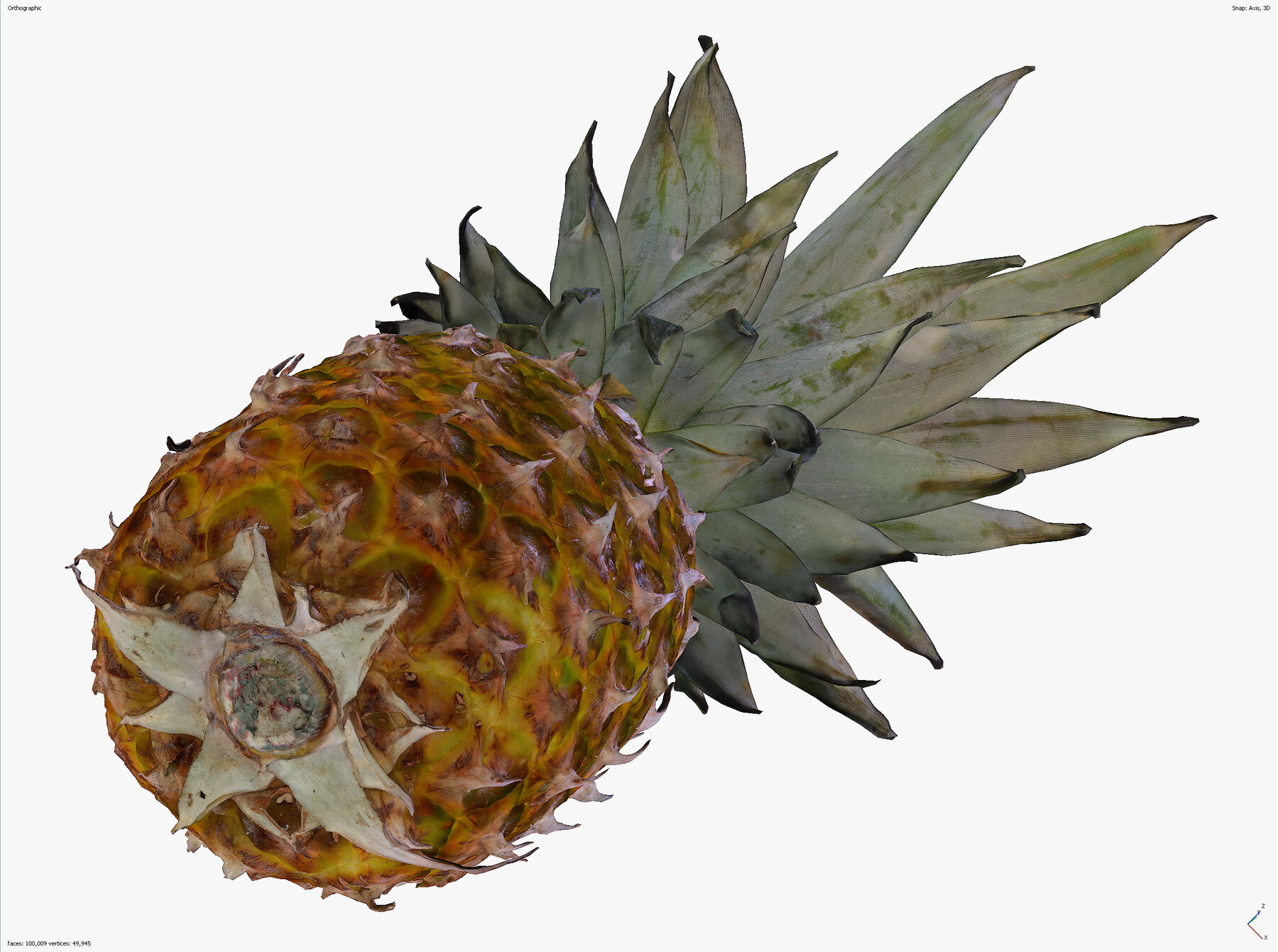ArtStation - PINEAPPLE FRUIT LOW POLY \ HIGH POLY 3D MODEL - CROSS ...