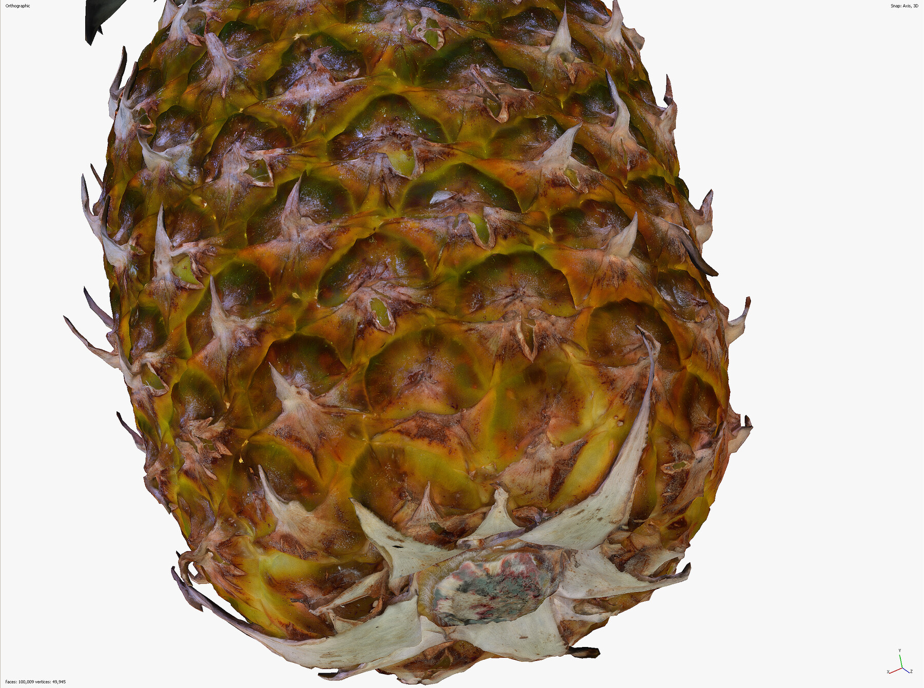ArtStation - PINEAPPLE FRUIT LOW POLY \ HIGH POLY 3D MODEL - CROSS ...