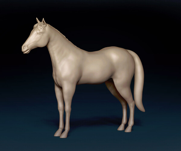ArtStation - Horse Base Mesh 3D Model | Resources