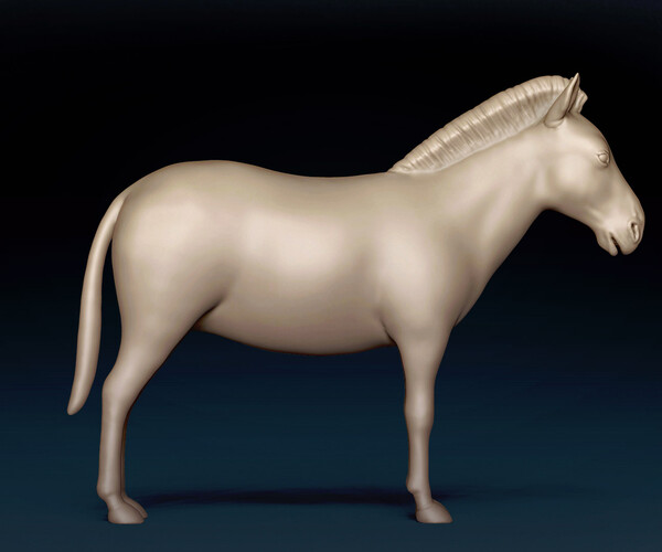 ArtStation - Zebra Base Mesh 3D Model | Resources