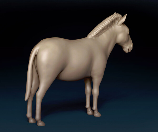 ArtStation - Zebra Base Mesh 3D Model | Resources