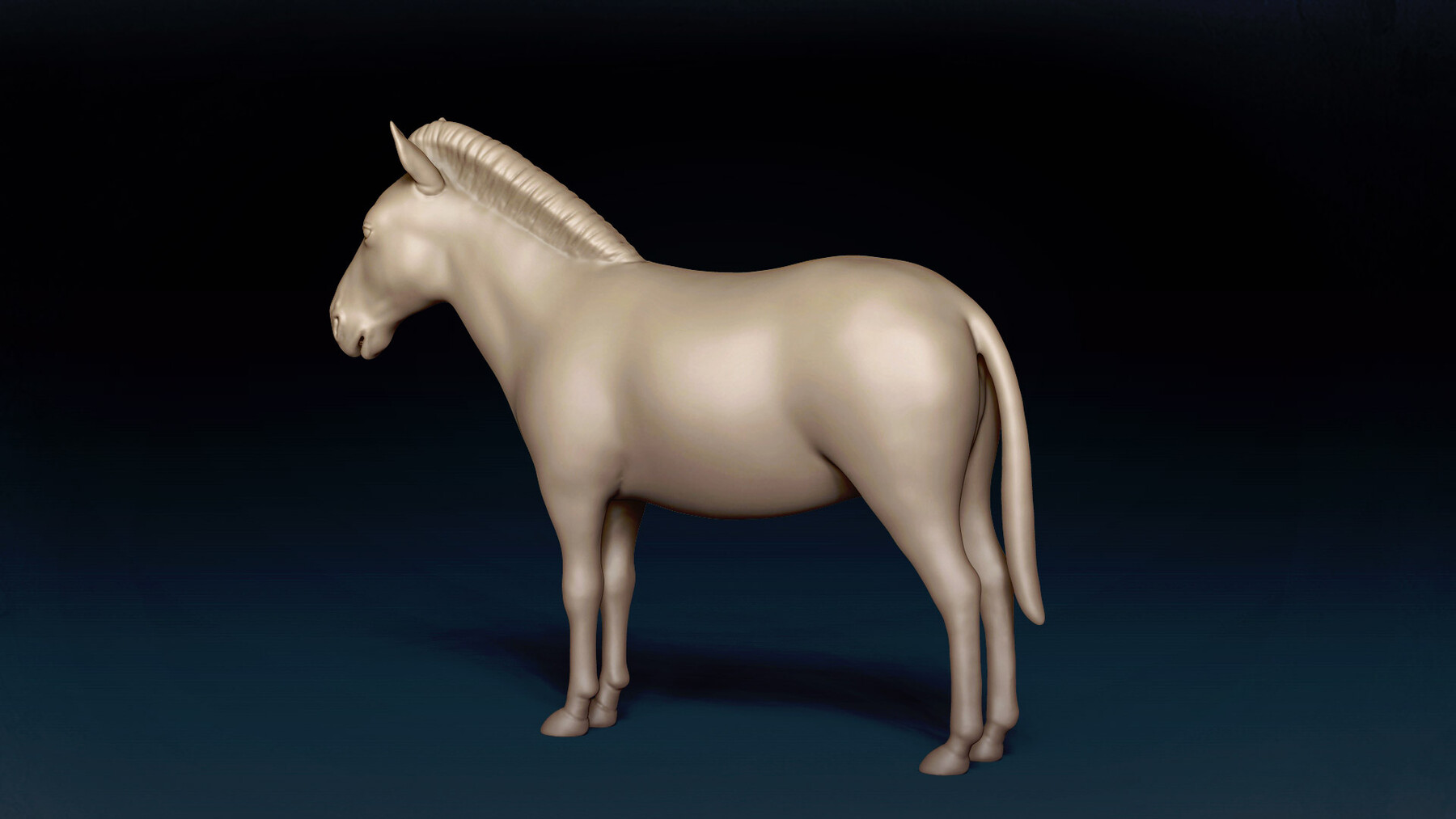 ArtStation - Zebra Base Mesh 3D Model | Resources