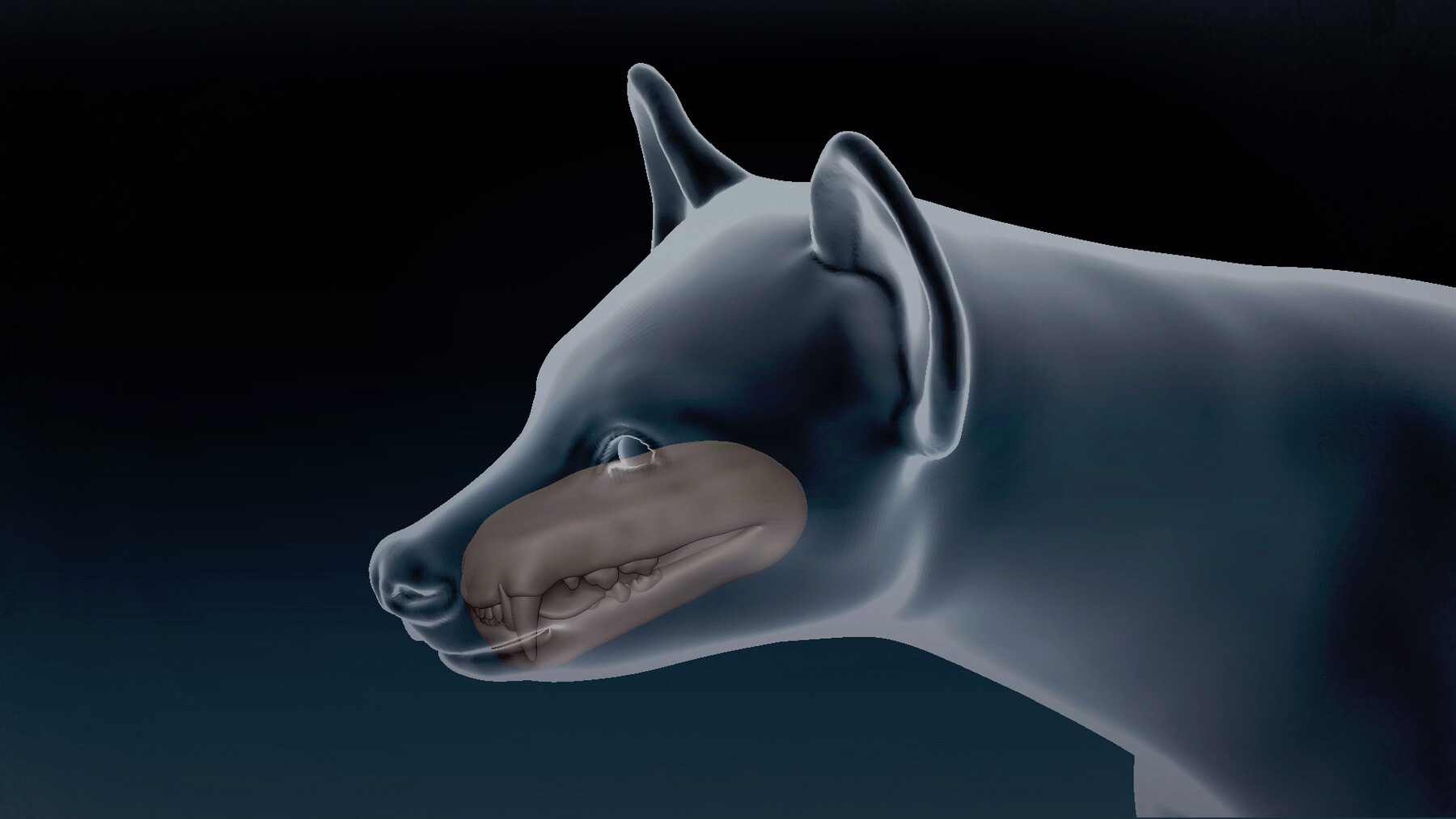 ArtStation - Hyena Base Mesh 3D Model | Resources