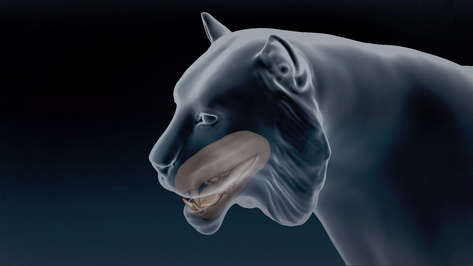 ArtStation - Tiger Base Mesh 3D Model | Resources