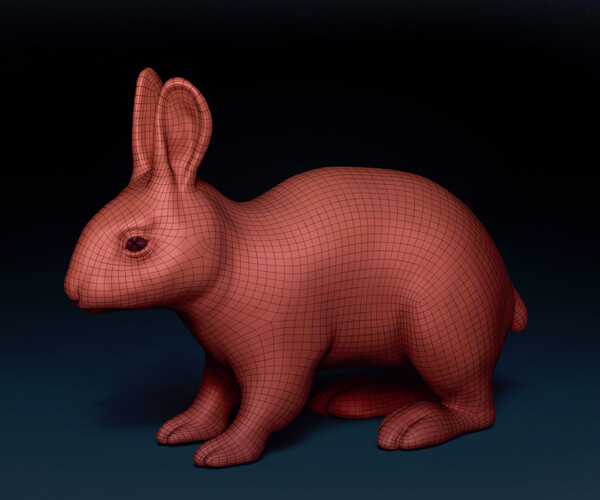 ArtStation - Rabbit Base Mesh 3D Model | Resources