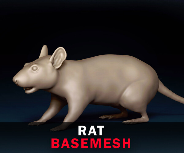 ArtStation - Rat Base Mesh 3D Model | Resources