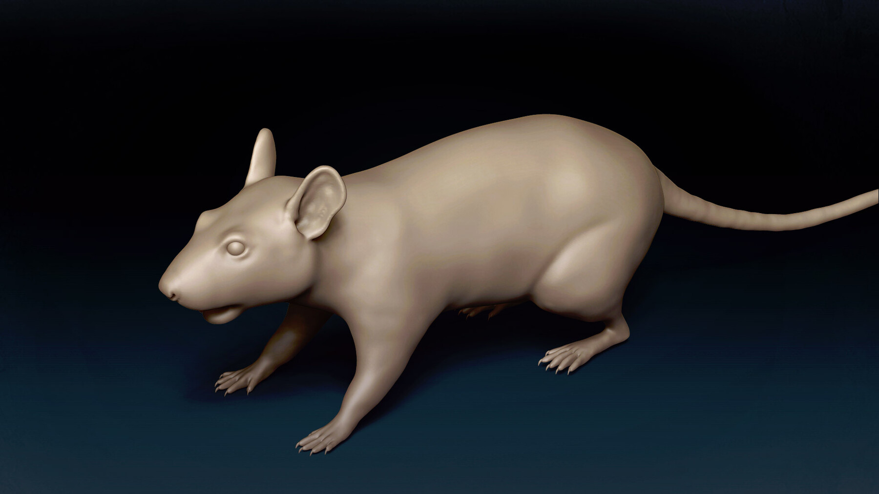 ArtStation - Rat Base Mesh 3D Model | Resources