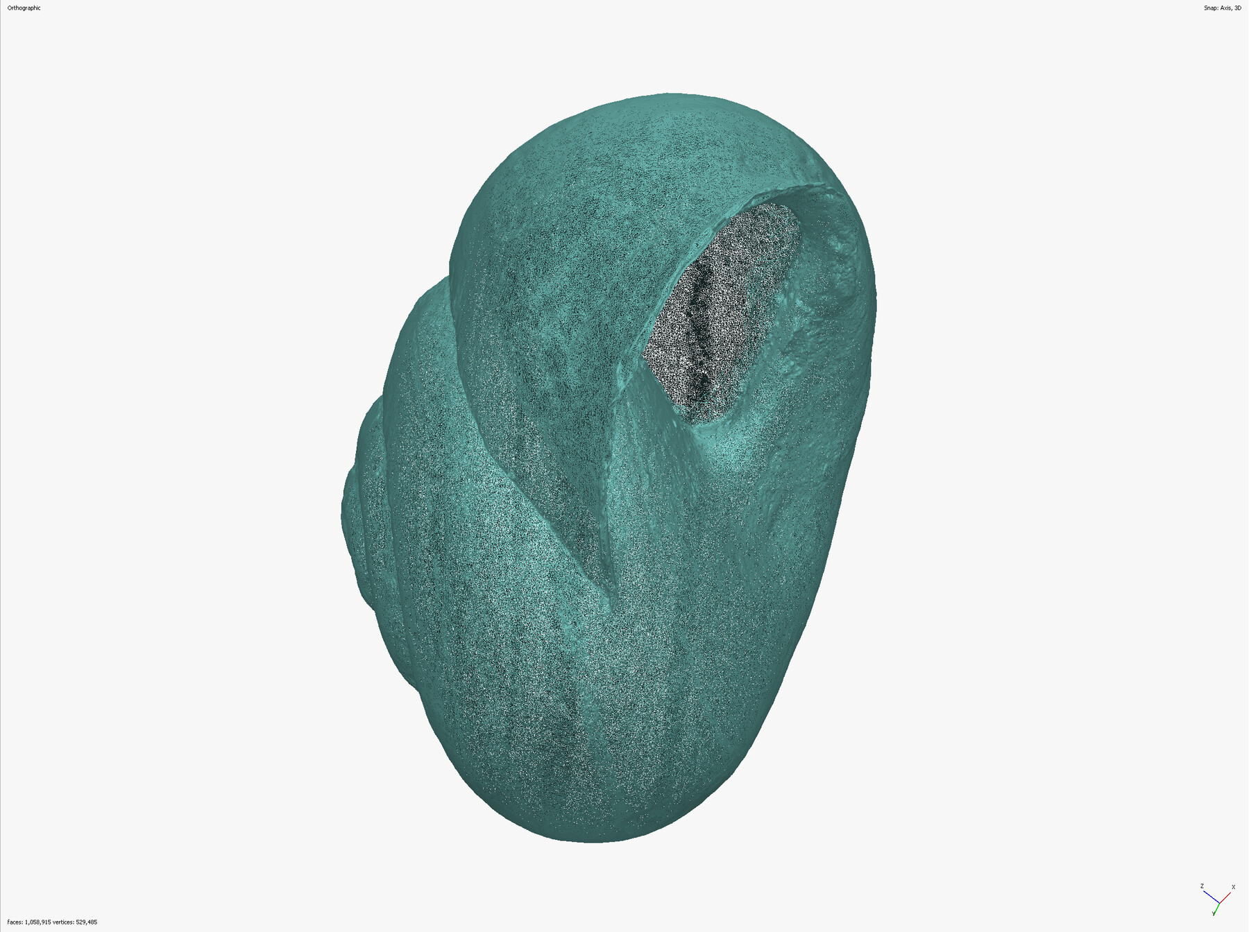 ArtStation - SNAIL 3D MODEL - LOW POLY \ HIGH POLY - CROSS-POLARIZED 3D ...