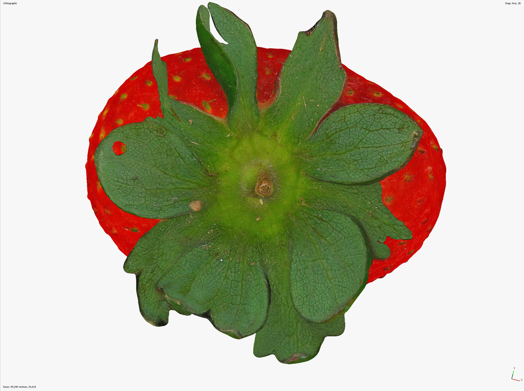 ArtStation - STRAWBERRY #3 LOW POLY \ HIGH POLY 3D MODEL - CROSS ...