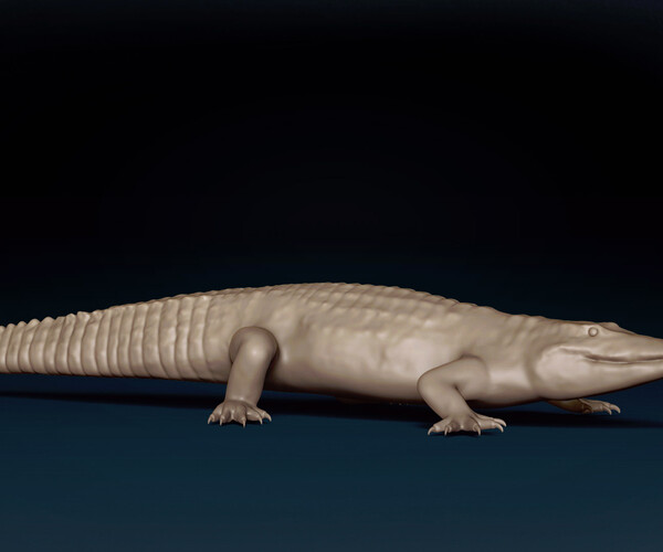 ArtStation - Crocodile Base Mesh 3D Model | Resources