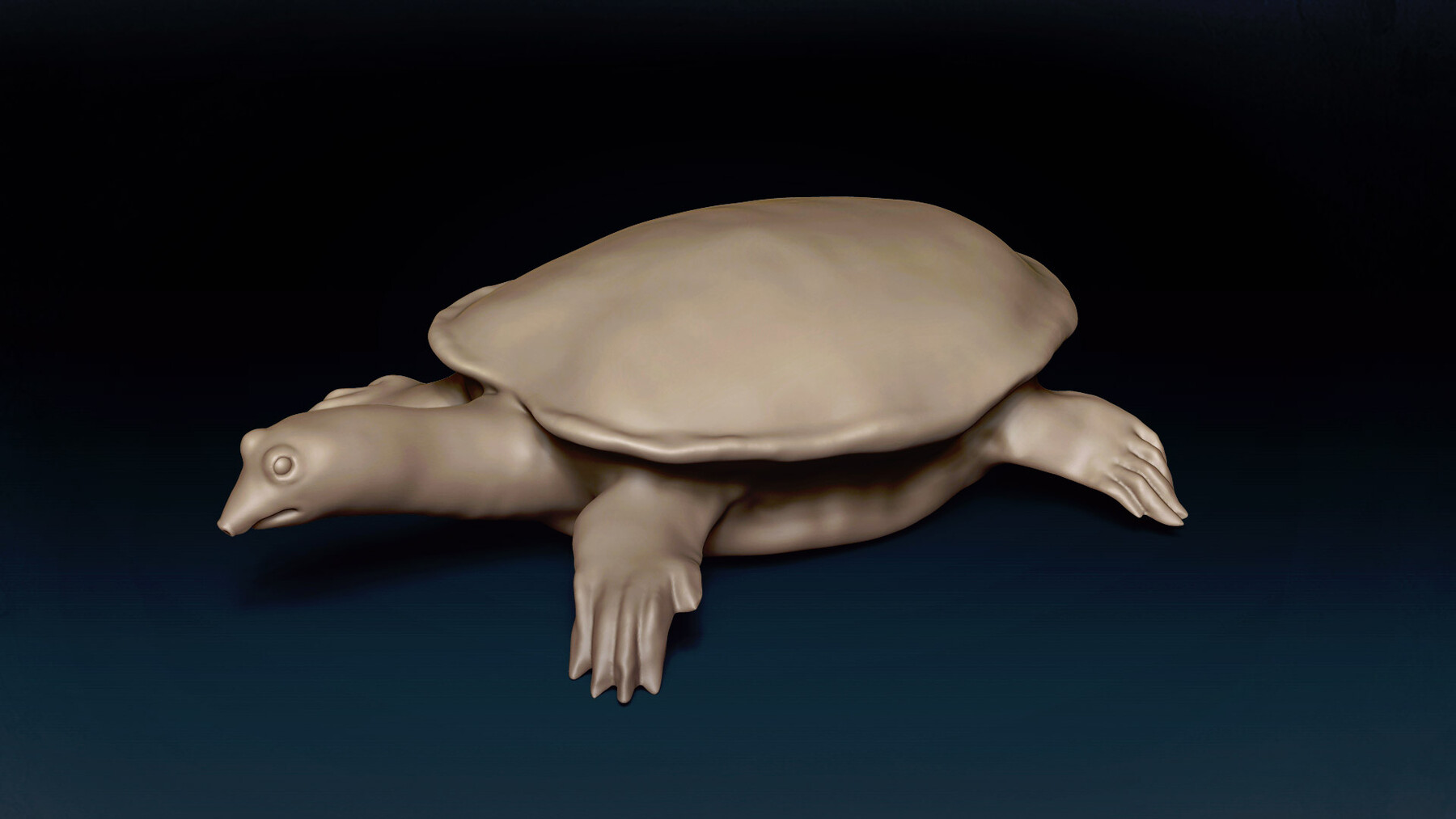 ArtStation - Chinese Softshell Turtle Base Mesh 3D Model | Resources