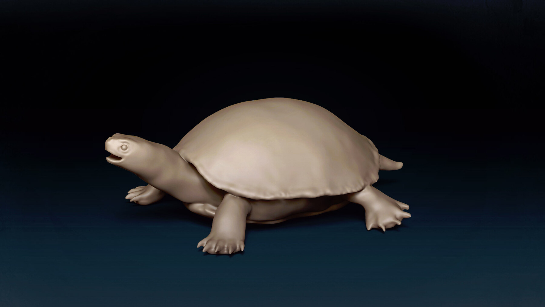 ArtStation - European Pond Turtle Base Mesh 3D Model | Resources