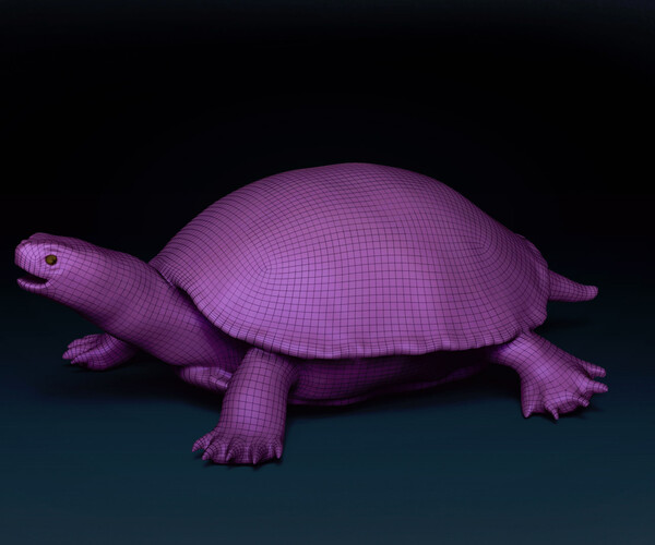 ArtStation - European Pond Turtle Base Mesh 3D Model | Resources