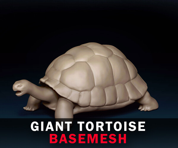 ArtStation - Giant Tortoise Base Mesh 3D Model | Resources