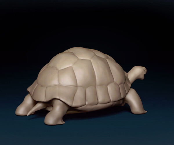 ArtStation - Giant Tortoise Base Mesh 3D Model | Resources