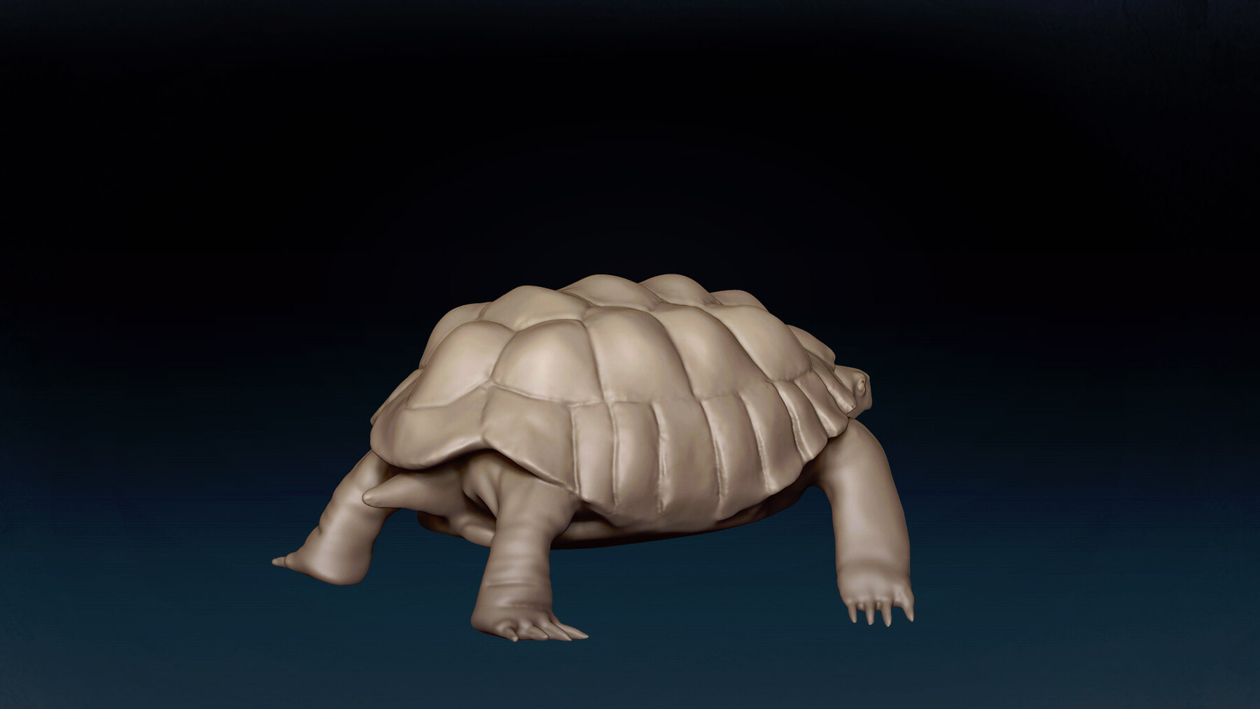 ArtStation - Greek Turtle Base Mesh 3D Model | Resources