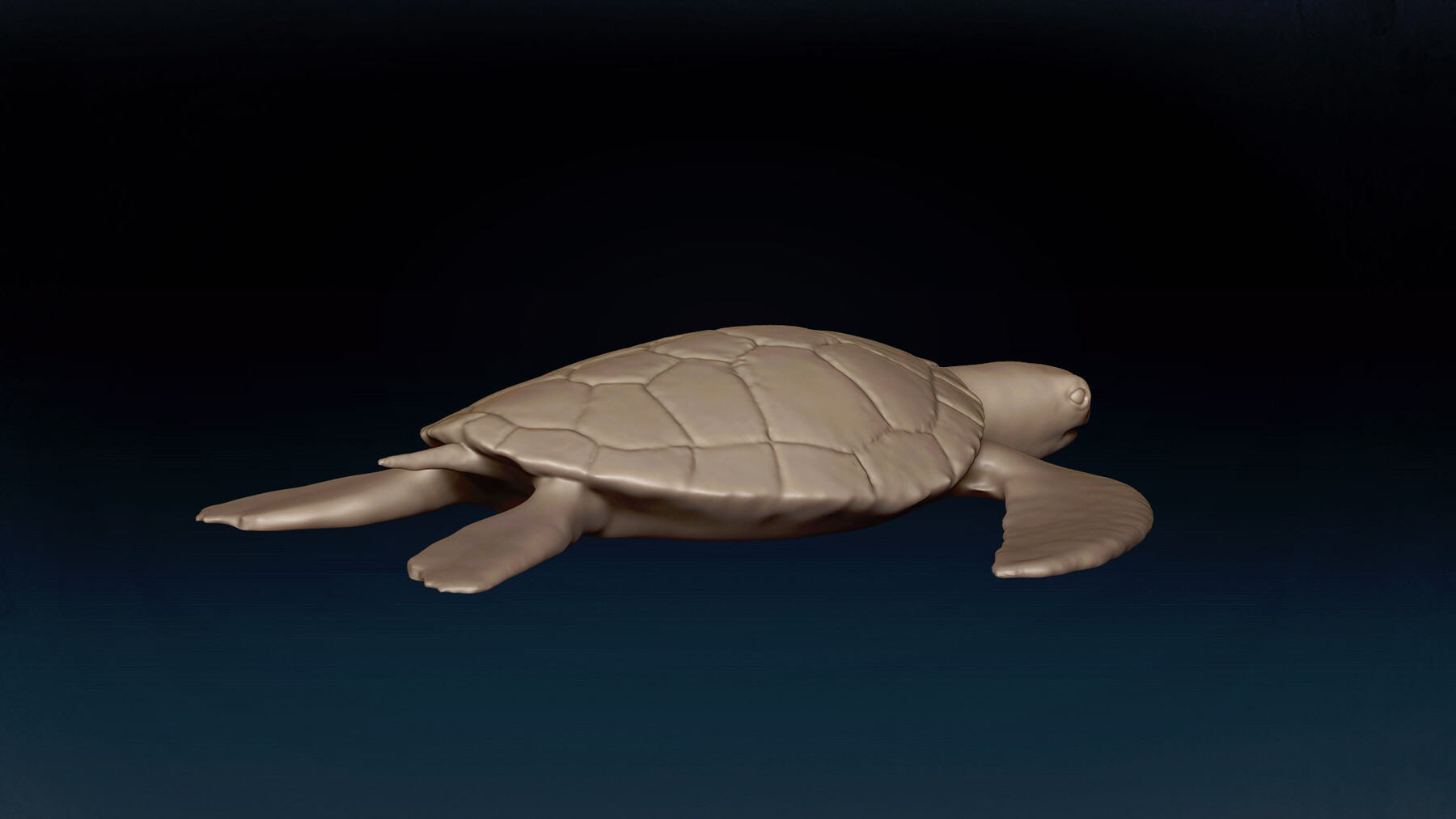 ArtStation - Green Sea Turtle Base Mesh 3D Model | Resources