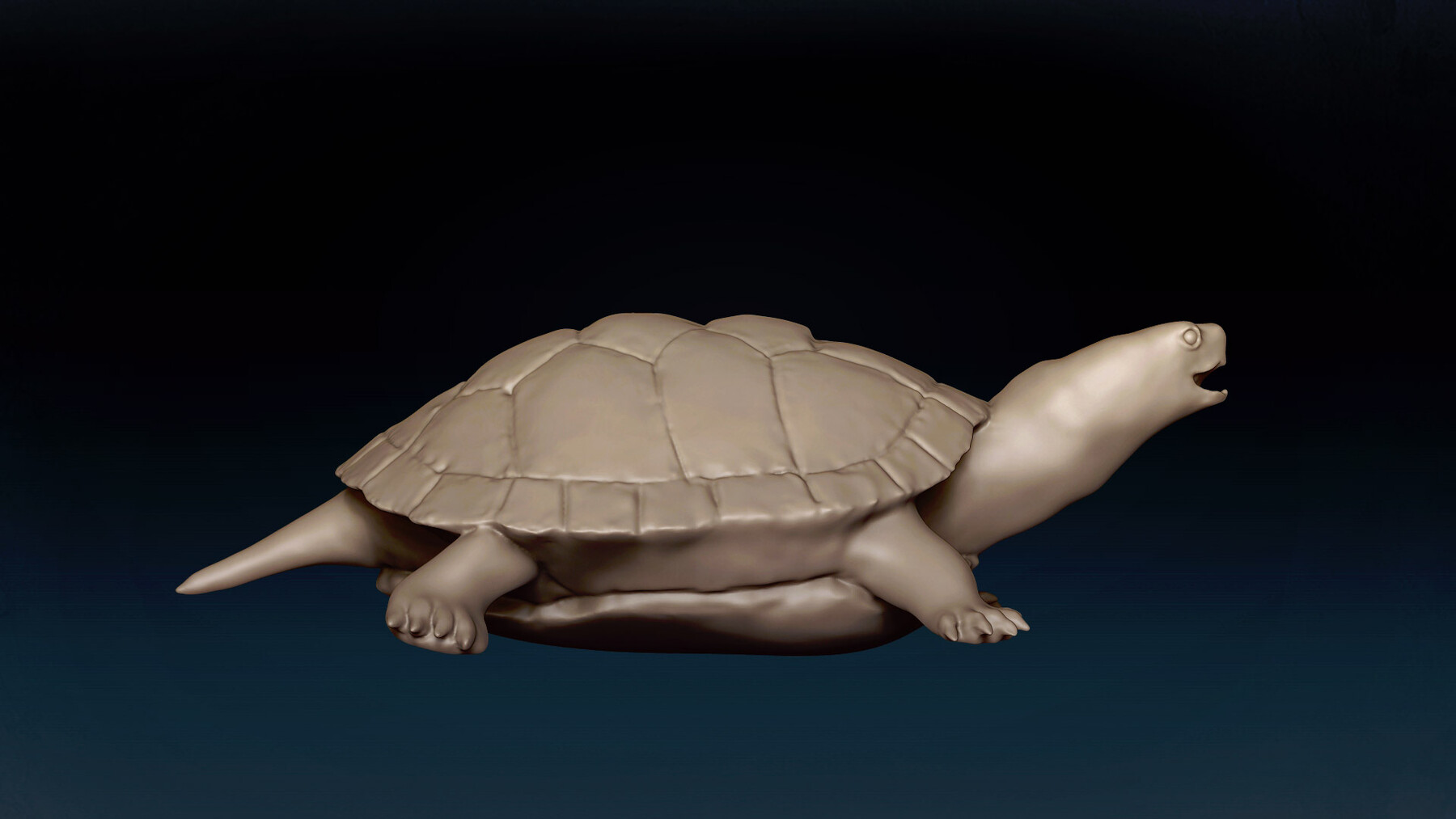 ArtStation - Pond Slider Turtle Base Mesh 3D Model | Resources