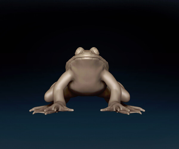 ArtStation - Frog Base Mesh 3D Model | Resources