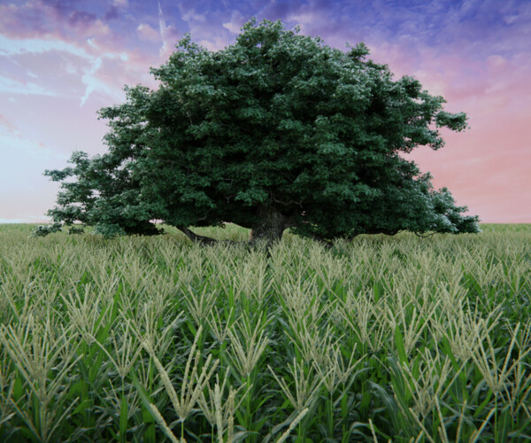 ArtStation - Oak Tree | Resources