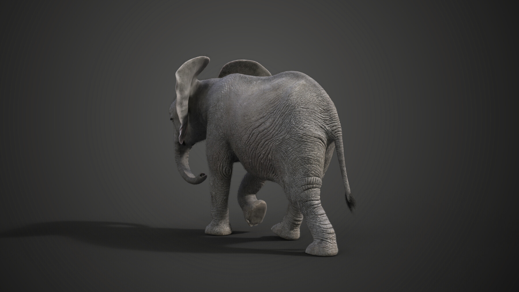 ArtStation - Young African Elephant Animated | VFX Grace | Game Assets