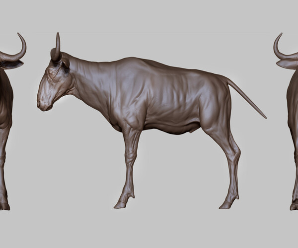 ArtStation - GNU | Resources