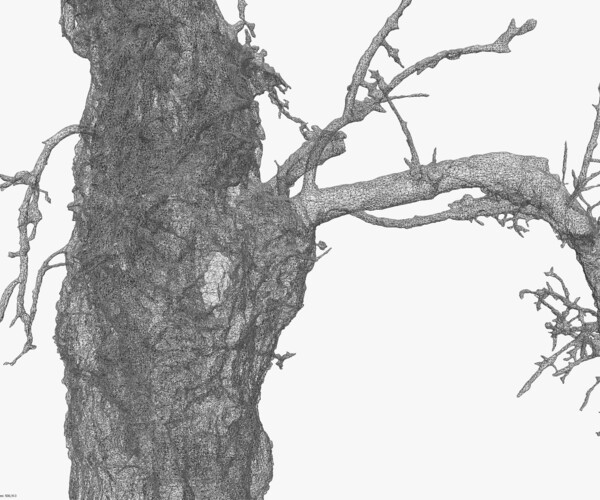 ArtStation - Spooky Monster Tree - 3D model with Faces and Animal ...