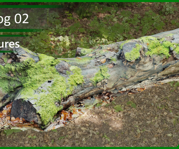 ArtStation - Tree Log VOL 02 | Game Assets