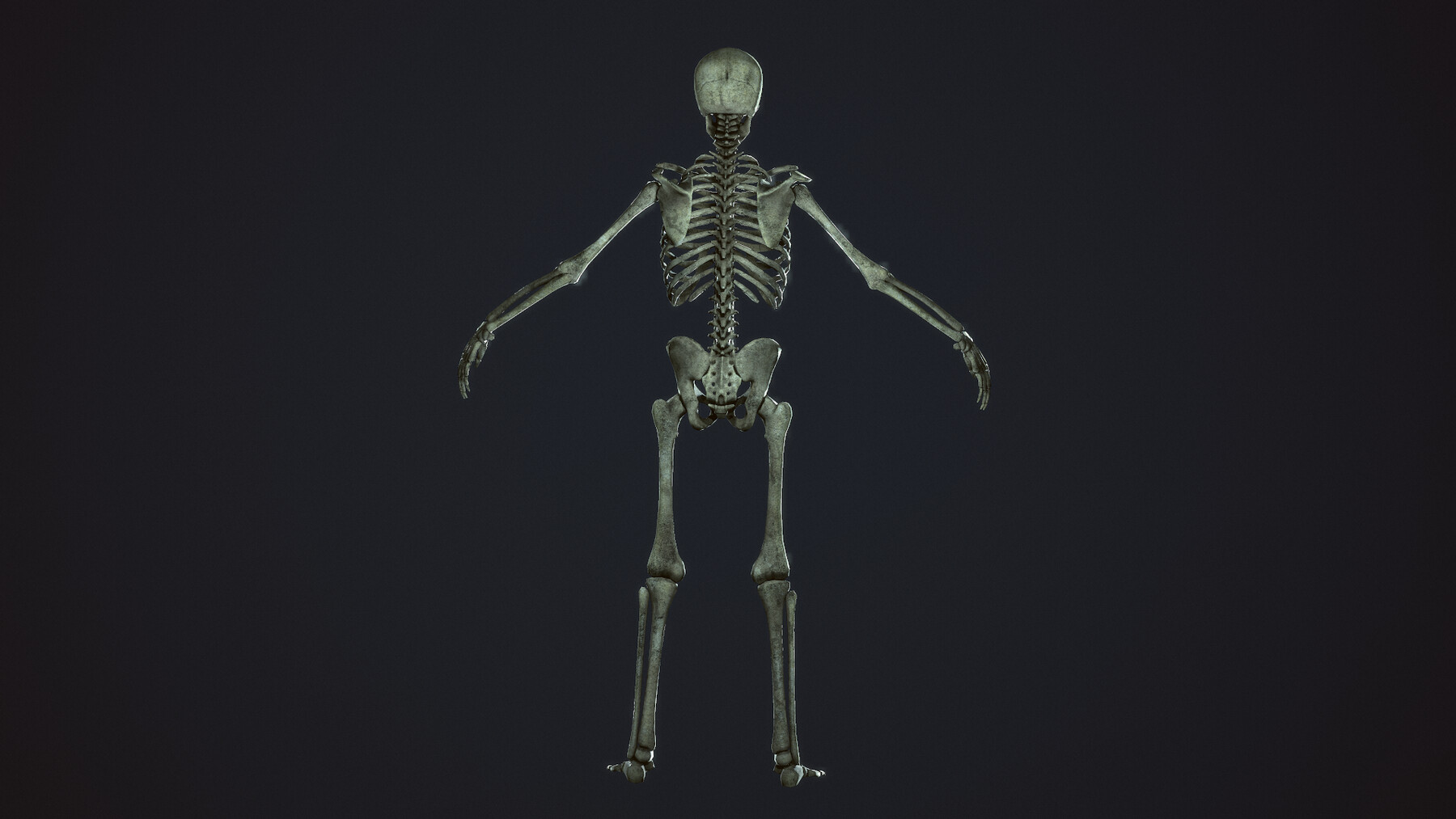 ArtStation - Skeleton Warrior - Game Ready Low-poly 3D model | Game Assets