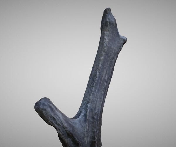ArtStation - Deer Antler | Game Assets