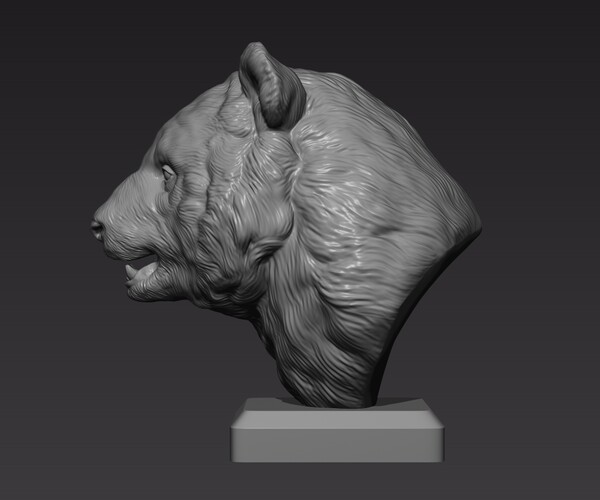 ArtStation - Panda head | Resources