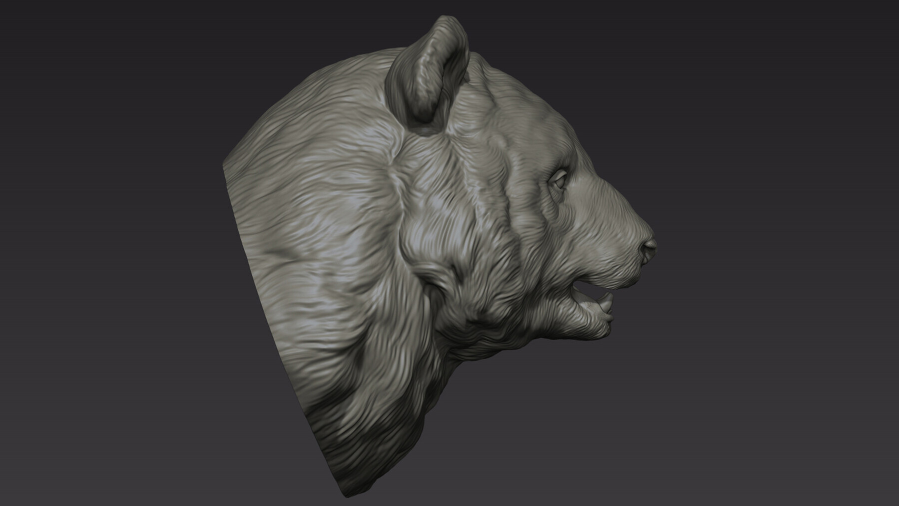 ArtStation - Panda head | Resources