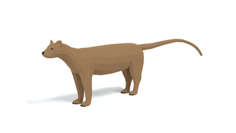 ArtStation - Low Poly Cartoon Fossa | Game Assets