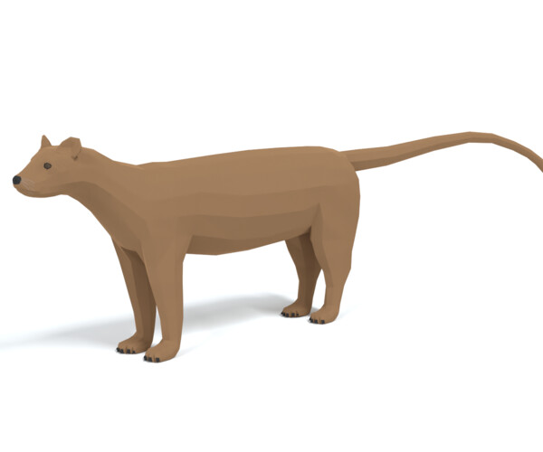 ArtStation - Low Poly Cartoon Fossa | Game Assets
