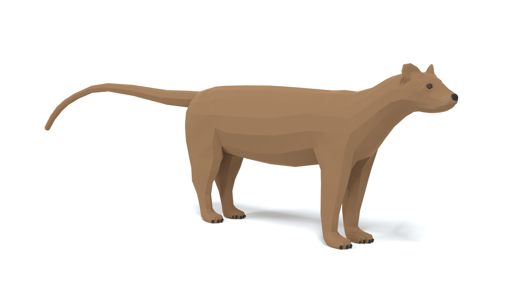ArtStation - Low Poly Cartoon Fossa | Game Assets