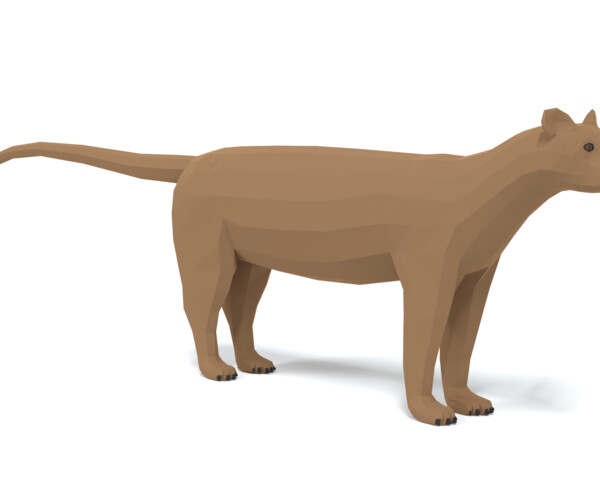 ArtStation - Low Poly Cartoon Fossa | Game Assets