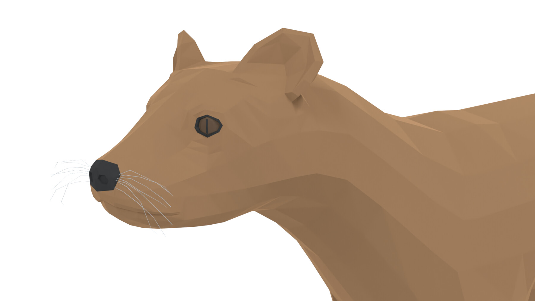 ArtStation - Low Poly Cartoon Fossa | Game Assets
