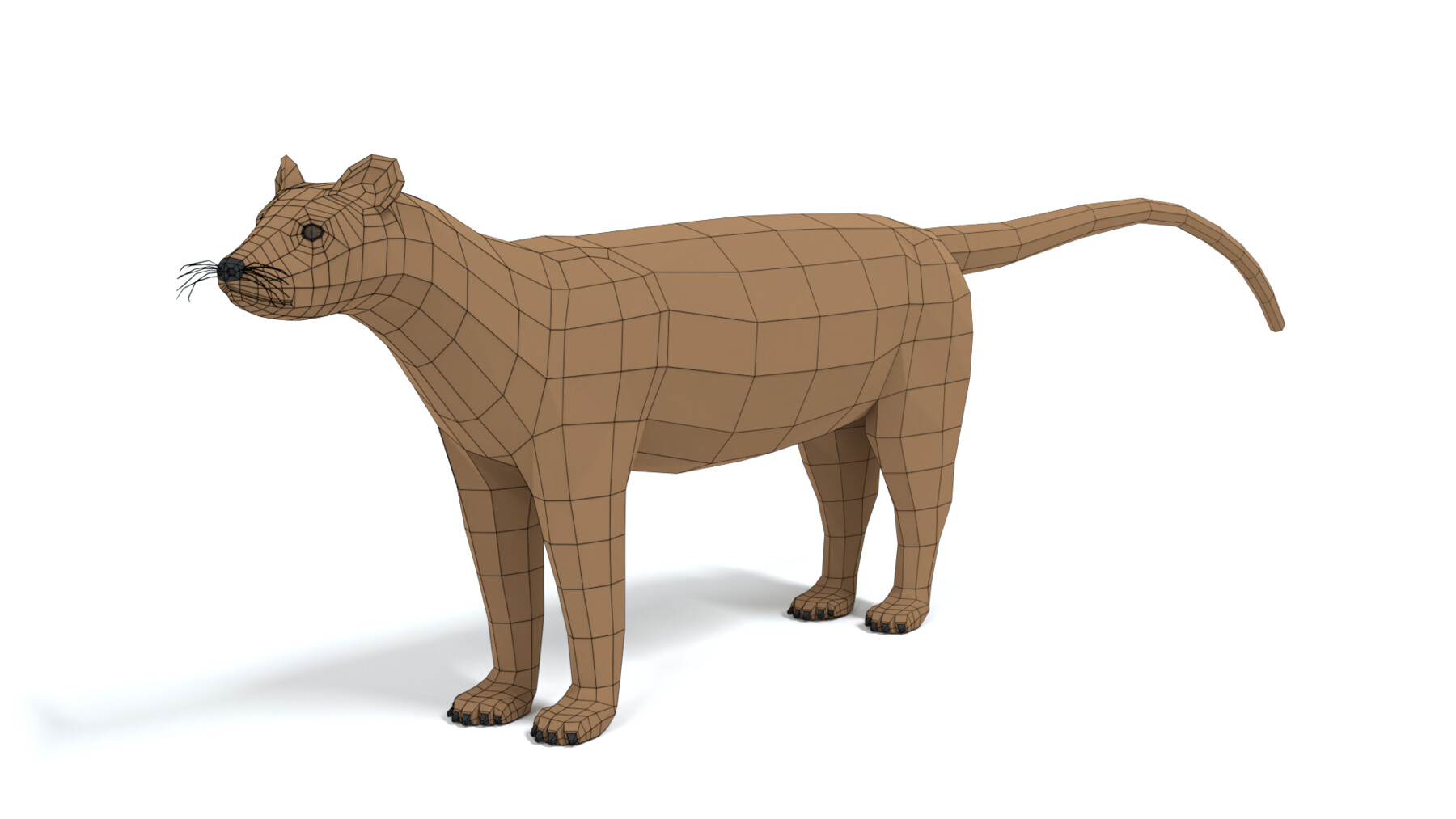 ArtStation - Low Poly Cartoon Fossa | Game Assets