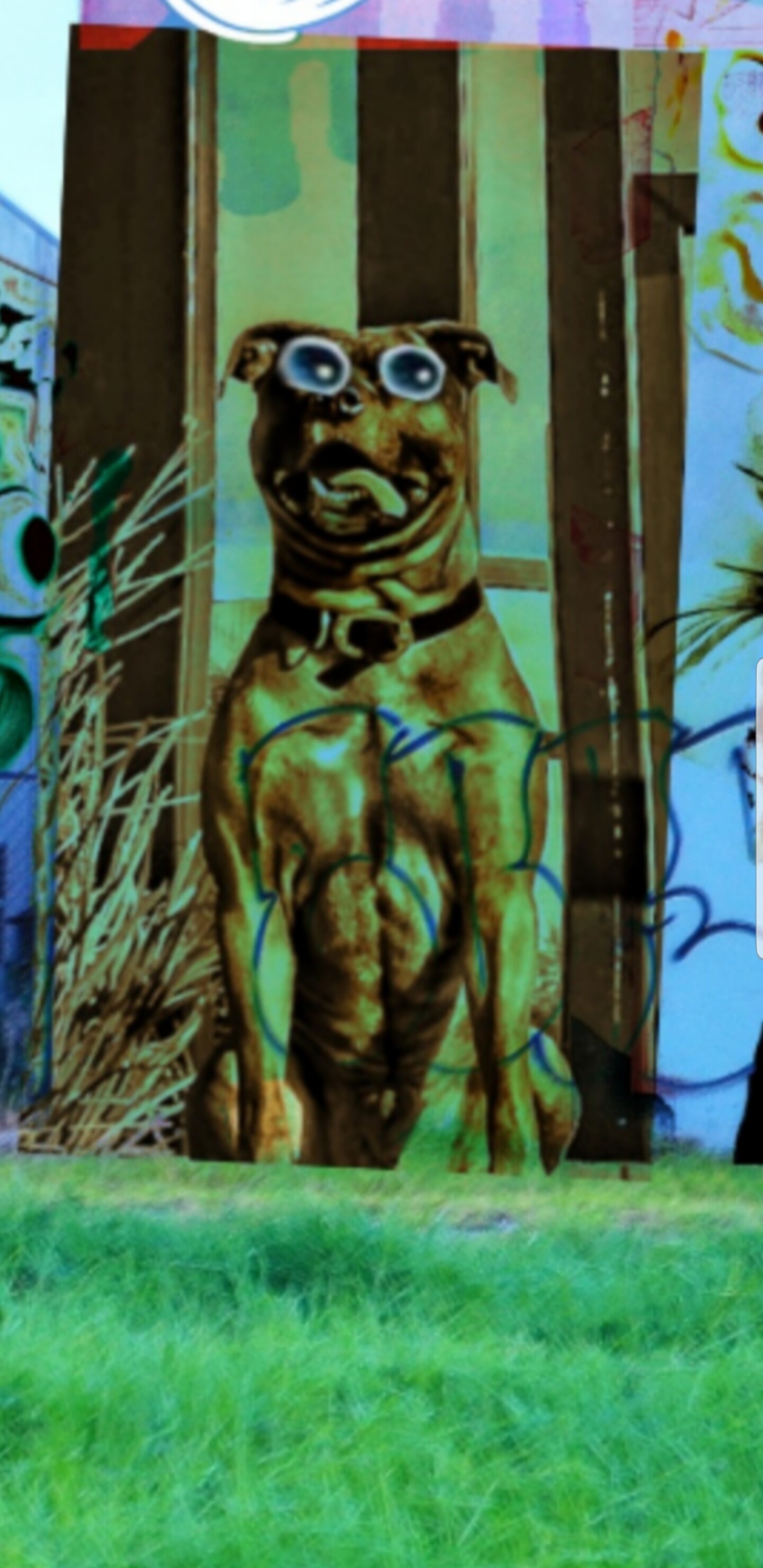 ArtStation - Graff walls layered 661 | Artworks