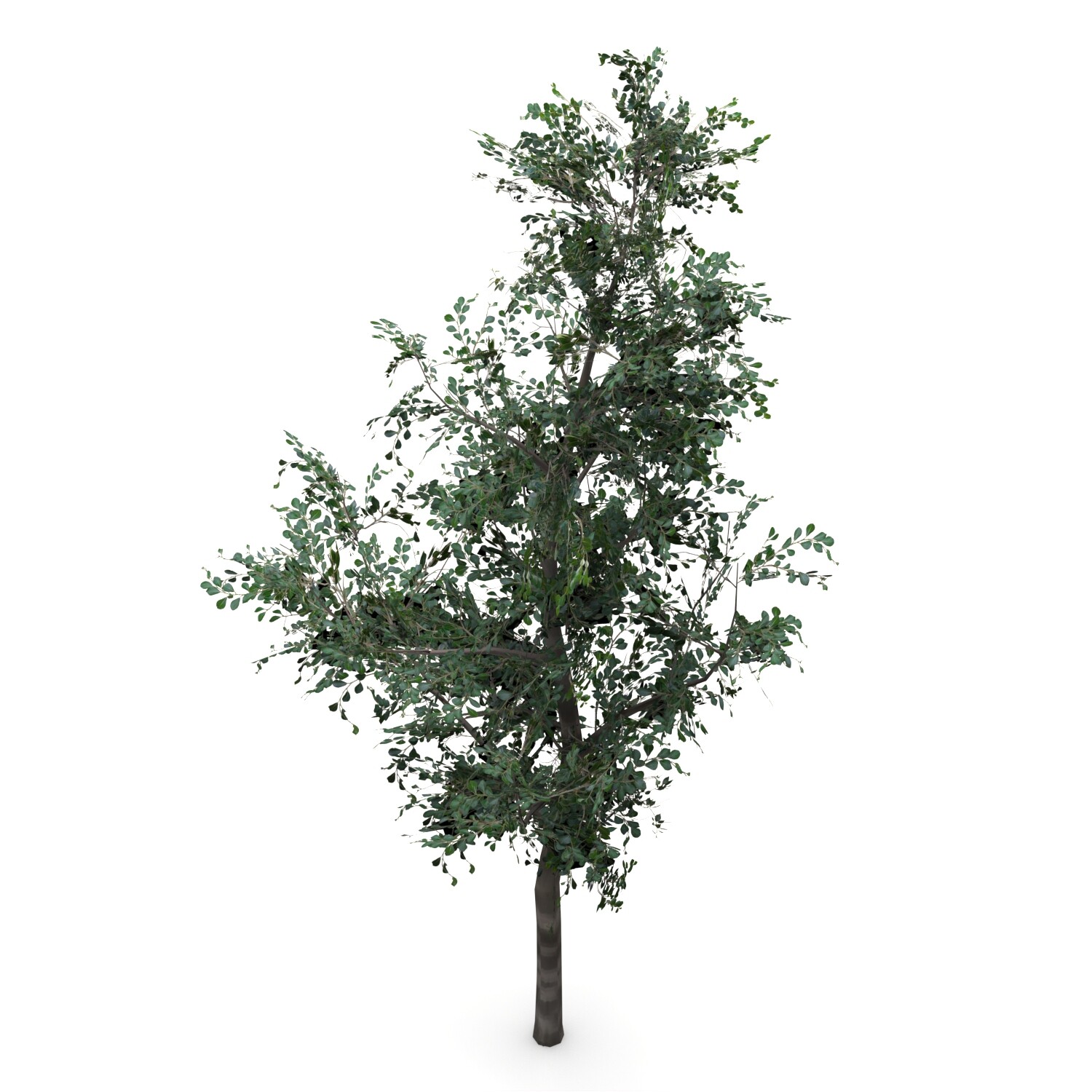 ArtStation - Low Poly Tree Bundle - Game Ready | Resources