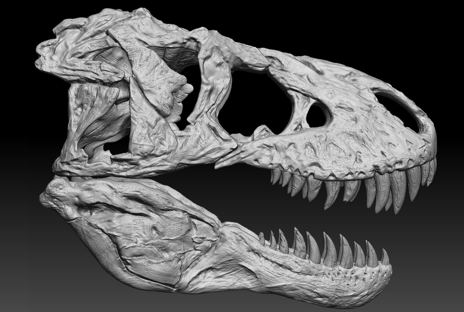 ArtStation - T-rex skull | Resources