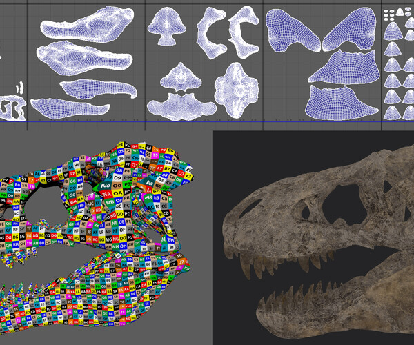 ArtStation - T-rex skull | Resources