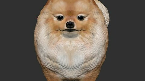 ArtStation - Gir Head 3D figure | Resources