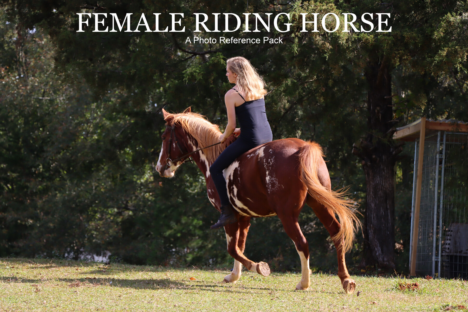 ArtStation - Female Riding Horse Reference Pack | Resources
