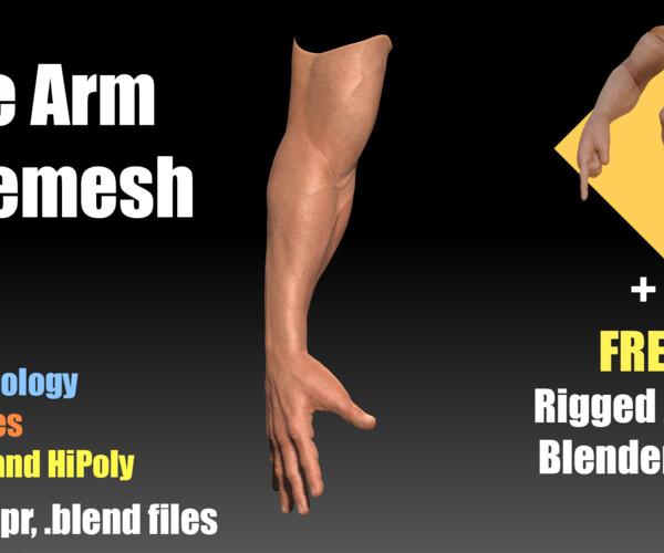 ArtStation - Male Arm Basemesh | Resources