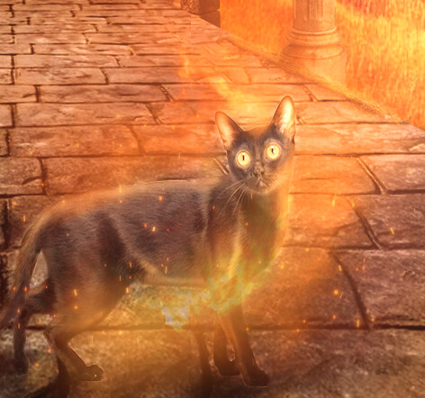 ArtStation - Monster cat | Artworks