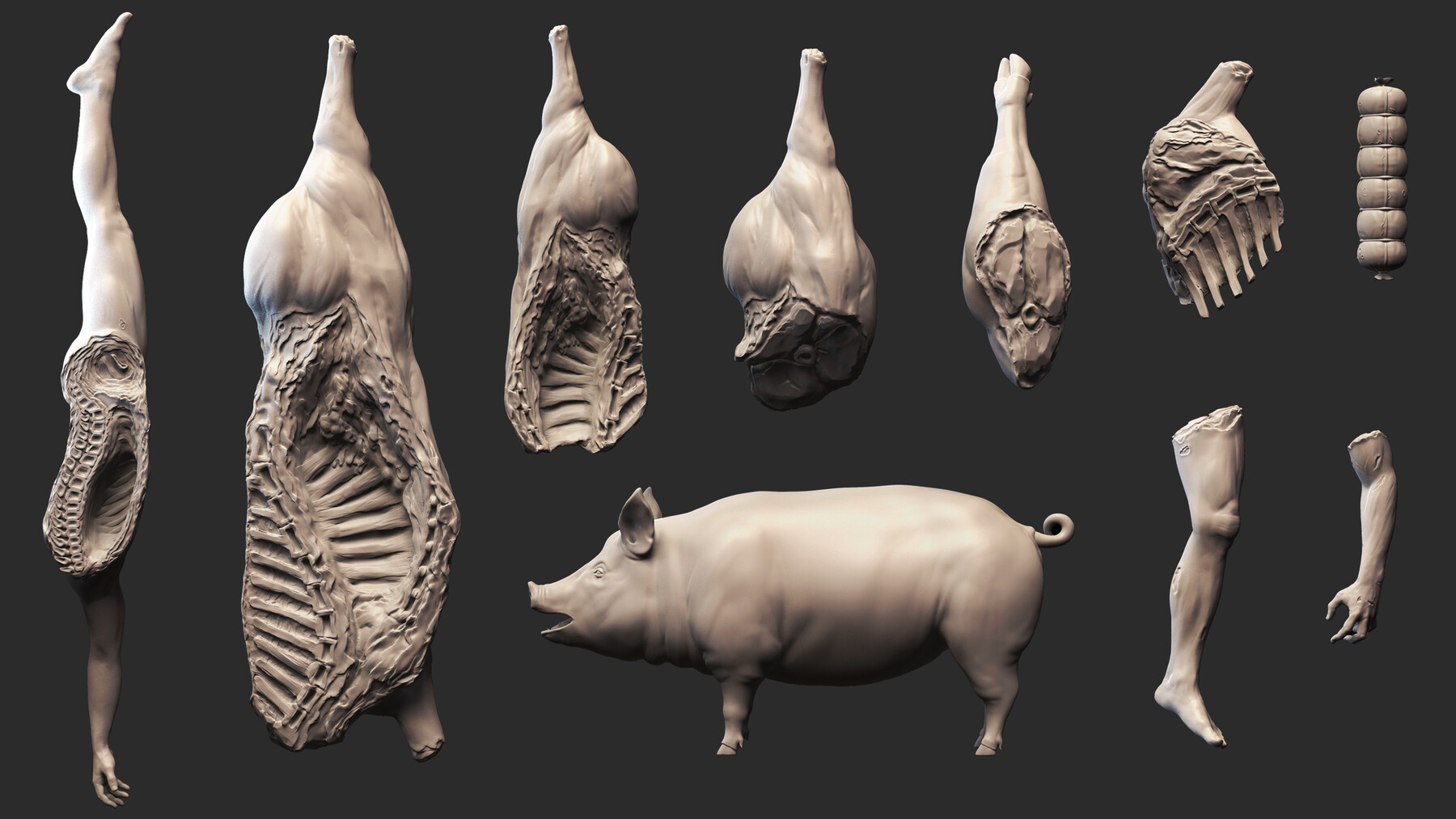 ArtStation - Human and Animal parts for Zbrush | Resources