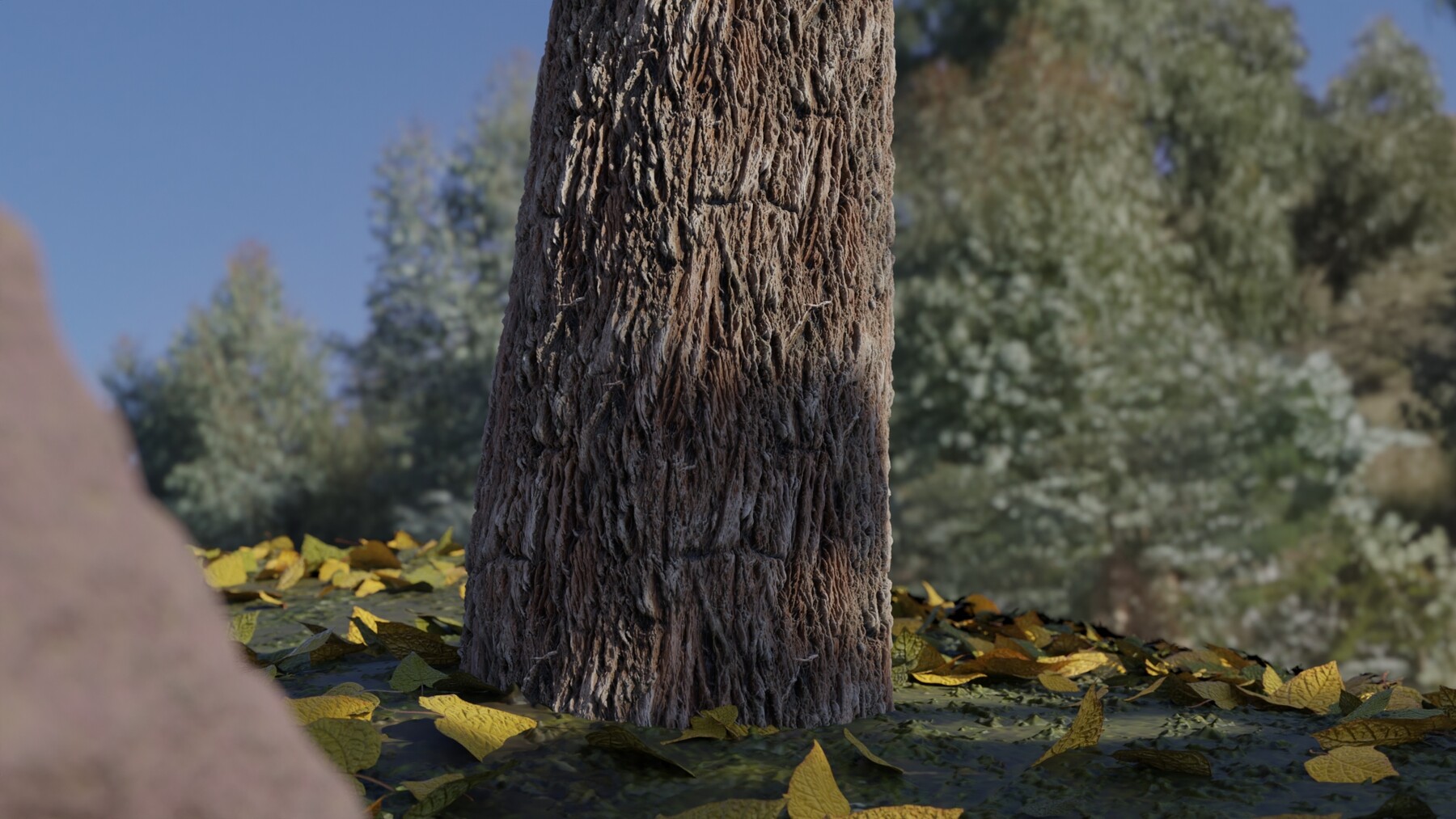 ArtStation - photoscanned Tree cortex texture | Resources